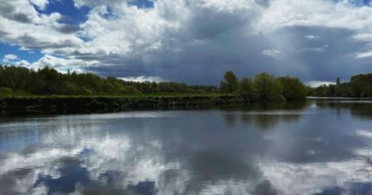 River Tees project - Preston Park