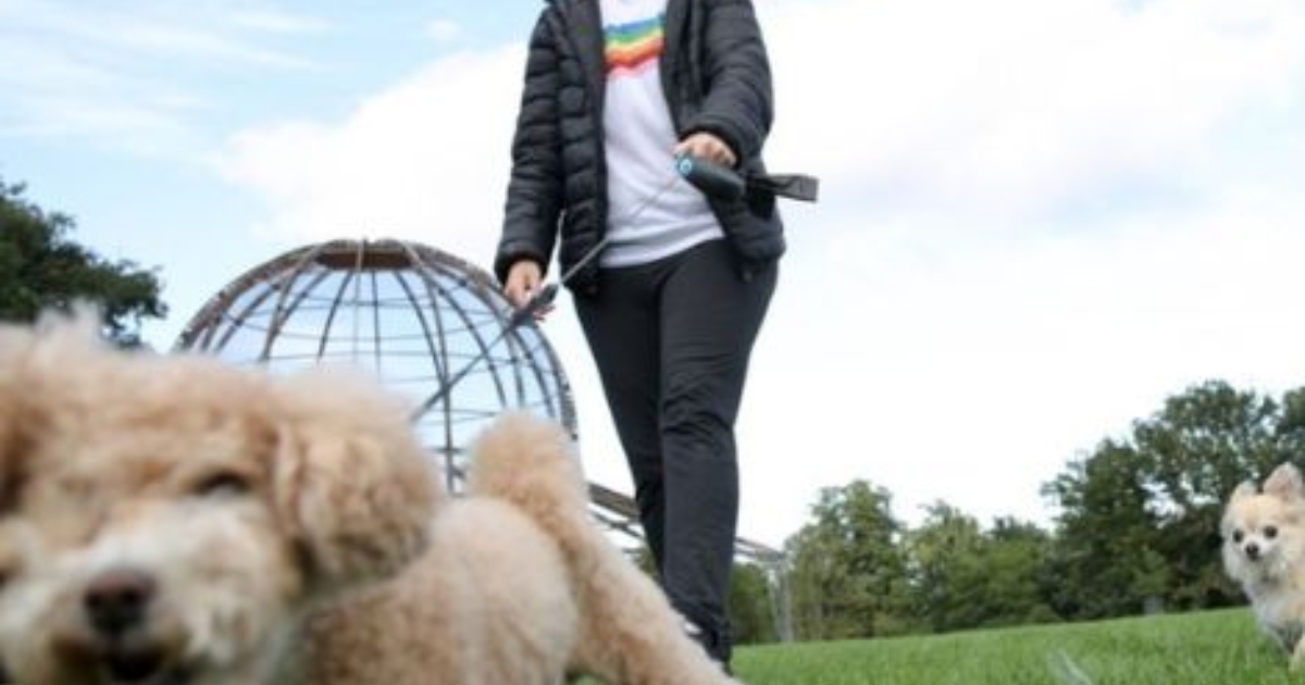 Visiting Preston Park with your dog - Preston Park